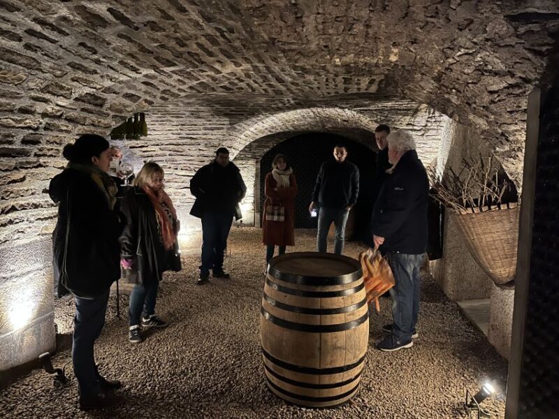Côte de Nuits Private Local Wineries and Wine Tasting Tour - Introduction