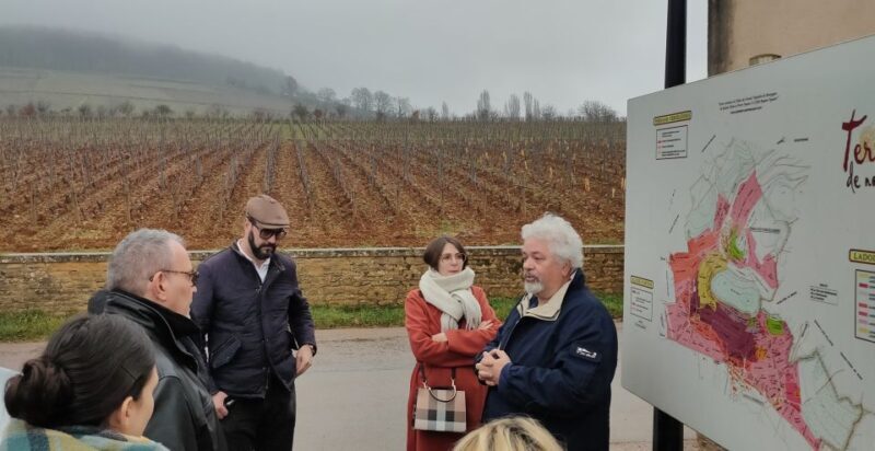 Côte de Nuits Private Local Wineries and Wine Tasting Tour - What to Expect During the Tour