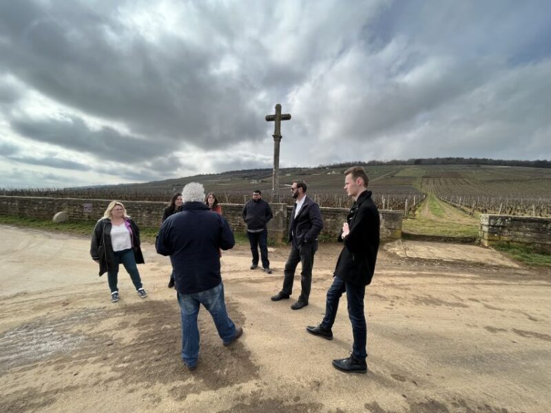 Côte de Nuits Private Local Wineries and Wine Tasting Tour - The Sum Up