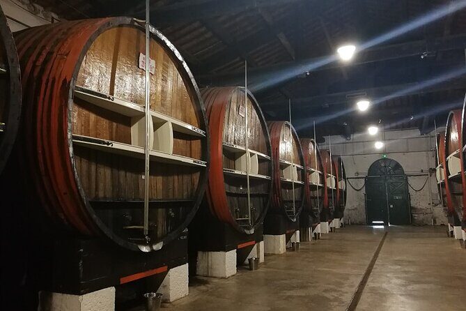 Côtes de Provence Wine Day Tour : 7 hours - The Practical Side: Transportation, Duration, and Value