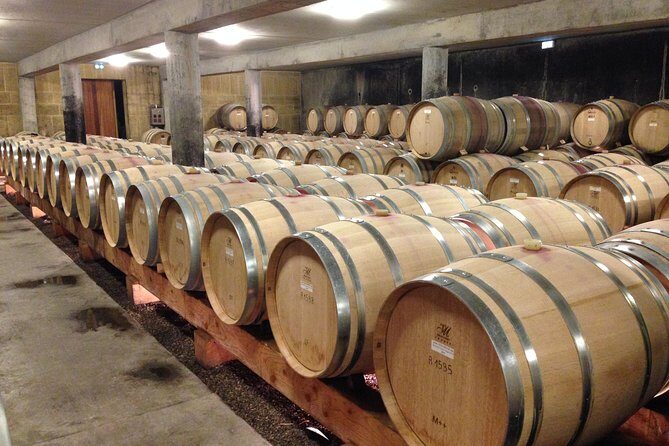 Cotes du Rhone Wine Tour (9:00 am to 5:15 pm) - Small Group Tour from Lyon - About the Price and Value