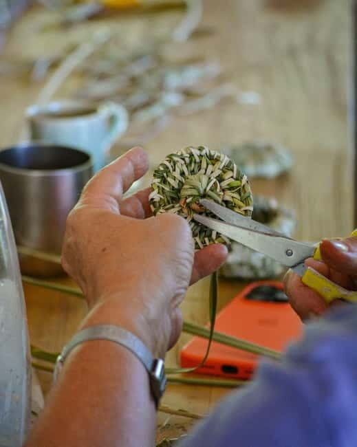 Cotignac: Workshop to discover wild basketry - Final Verdict