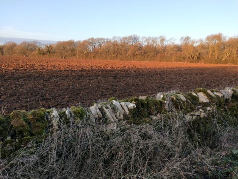 Cotswolds: Private Guided Tour Day Trip by Car - Final Thoughts