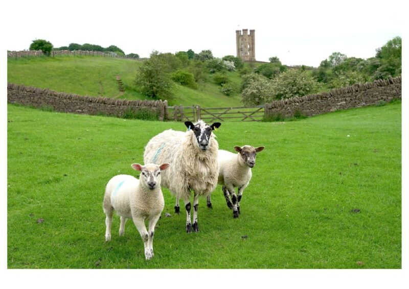 Cotswolds Villages & Countryside: Private Luxury Tour - Key Points