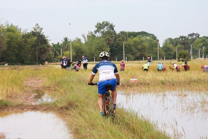 Country Cycling Experience and Homemade Lunch in Siem Reap - A Closer Look at the Siem Reap Countryside Cycling Tour