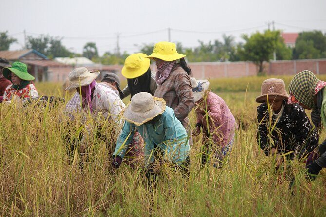 Country Cycling Experience and Homemade Lunch in Siem Reap - Who Would Enjoy This Tour?
