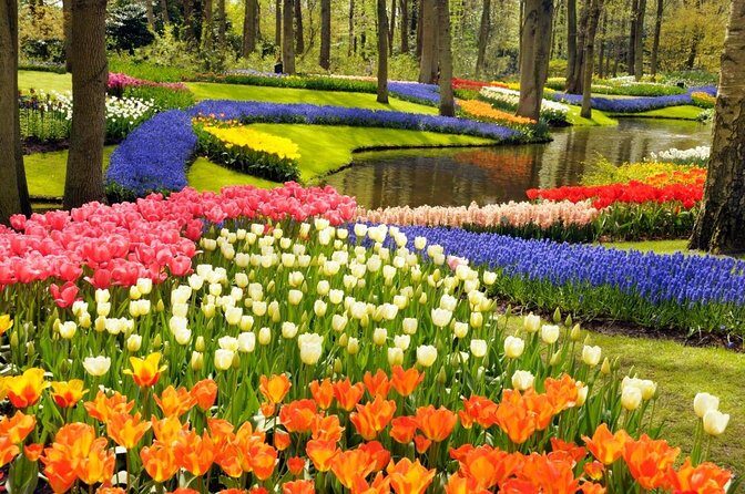 Country of Tulips Tour - Key Points