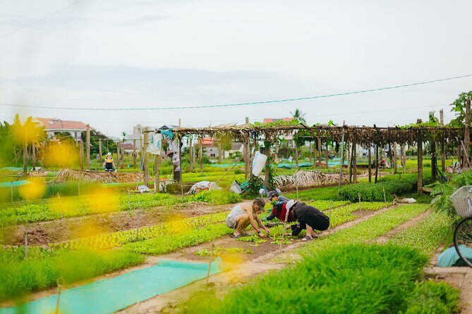 Countryside Adventure Private Tour by Electric Car - Who Should Consider This Tour?