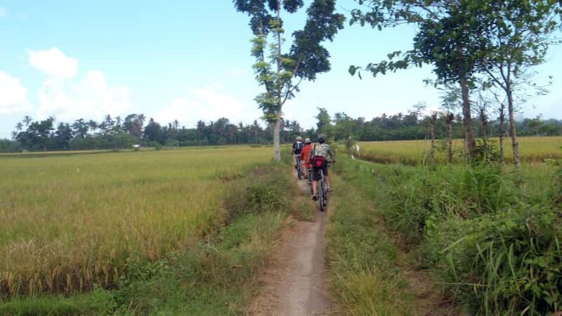 Countryside Bike Ride to Golong Village and Lingsar Temple - An Introduction to the Tour Experience