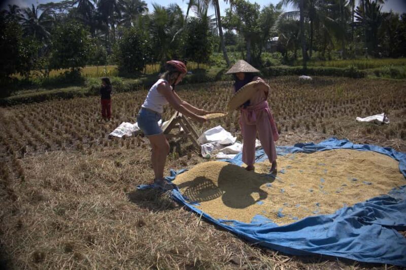 Countryside Bike Ride to Golong Village and Lingsar Temple - Scenic Rice Fields and Natural Springs