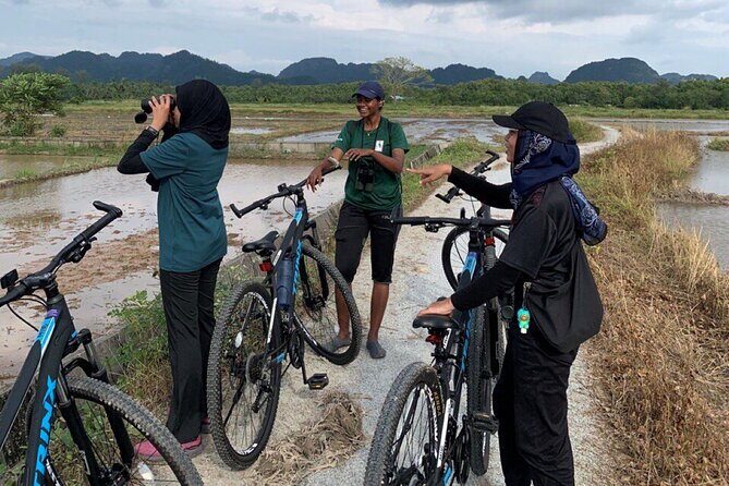 Countryside Biking Tour in Langkawi - Introduction: An Inviting Way to Discover Langkawi’s Countryside