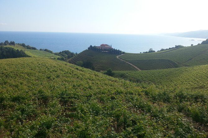 Countryside & Coast Private tour - Final Thoughts