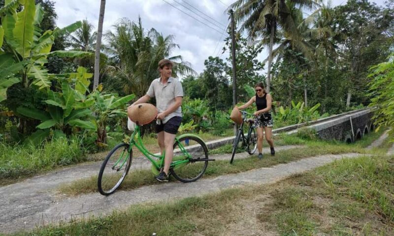 Countryside Cycling and Borobudur Temple Visit - Countryside Cycling and Borobudur Temple Visit: A Practical Guide to Authentic Java