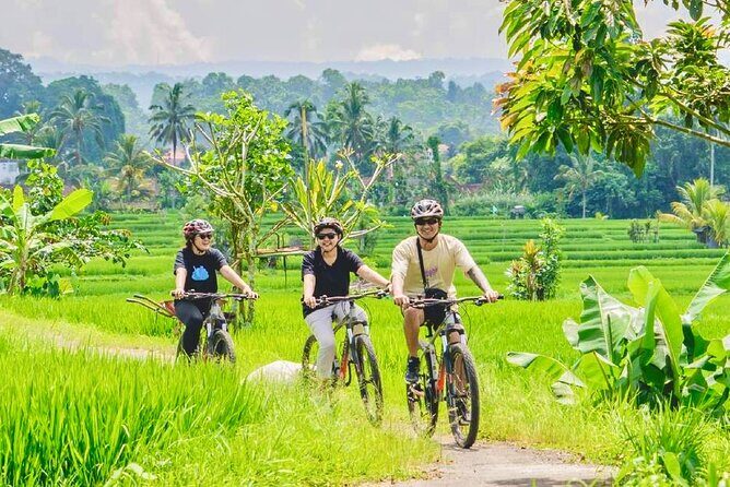 Countryside Cycling Tour From Sigiriya, Dambulla & Habarana - Introduction: Who Should Consider This Tour?