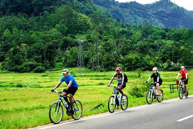 Countryside Cycling Tour in Galle - What We Loved About the Experience