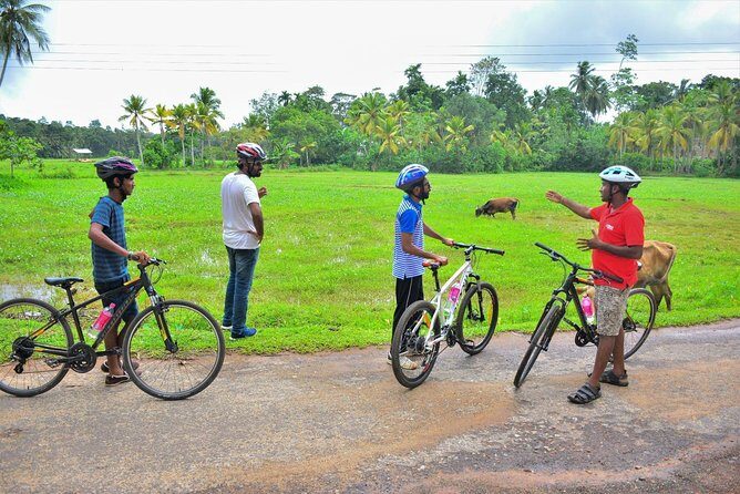 Countryside Cycling Tour in Galle - Who Will Love This Tour?