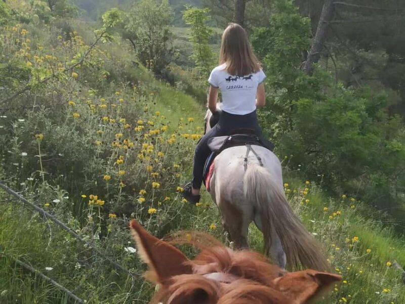 Countryside Horseback Ride in Gjinofshat - The Sum Up: Why Choose the Gjinofshat Horseback Ride?