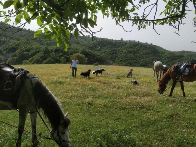 Countryside Horseback Ride in Gjinofshat - Frequently Asked Questions