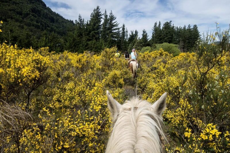 Countryside Immersion with Horseback Ride in Sainte Victoire - What Sets This Tour Apart?