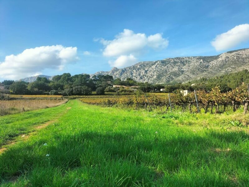 Countryside Immersion with Horseback Ride in Sainte Victoire - The Experience: What Travelers Say