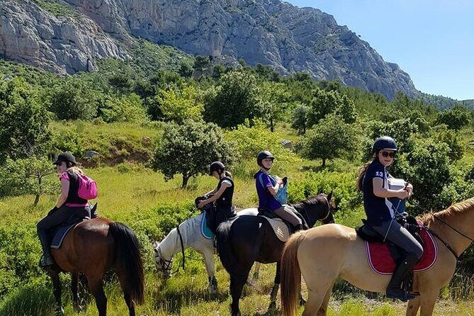 Countryside Immersion With Horseback Riding in Sainte Victoire - Real Feedback and What Travelers Say