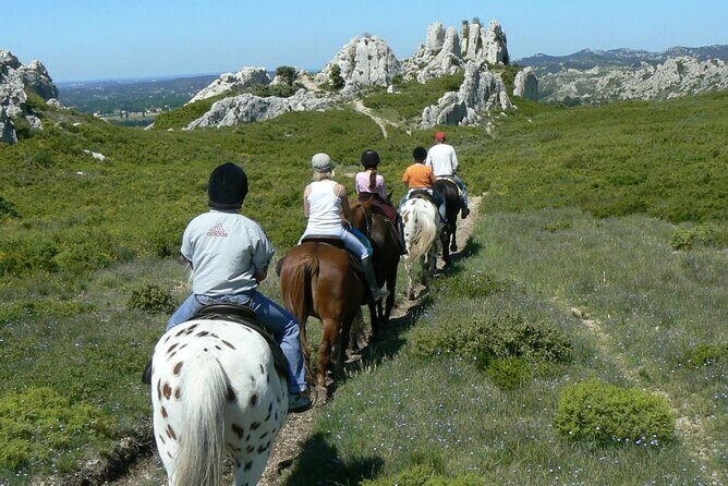 Countryside Immersion With Horseback Riding in Sainte Victoire - The Experience’s Strengths: Why You’ll Love It