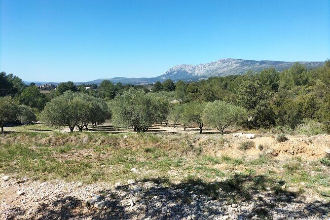 Countryside Immersion With Horseback Riding in Sainte Victoire - Considering the Price: Is It Worth It?