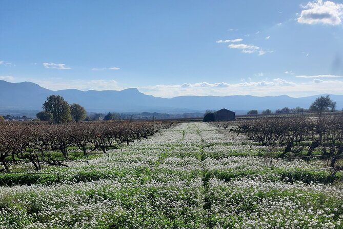 Countryside Immersion With Horseback Riding in Sainte Victoire - FAQ: Practical Questions Answered
