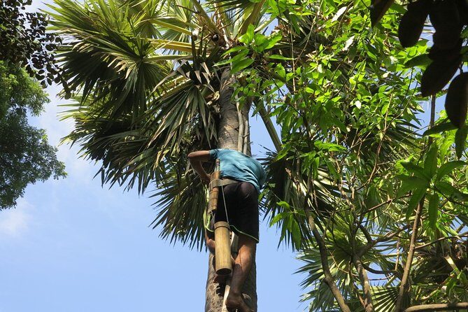 Countryside Morning Life Vespa Tour - FAQ