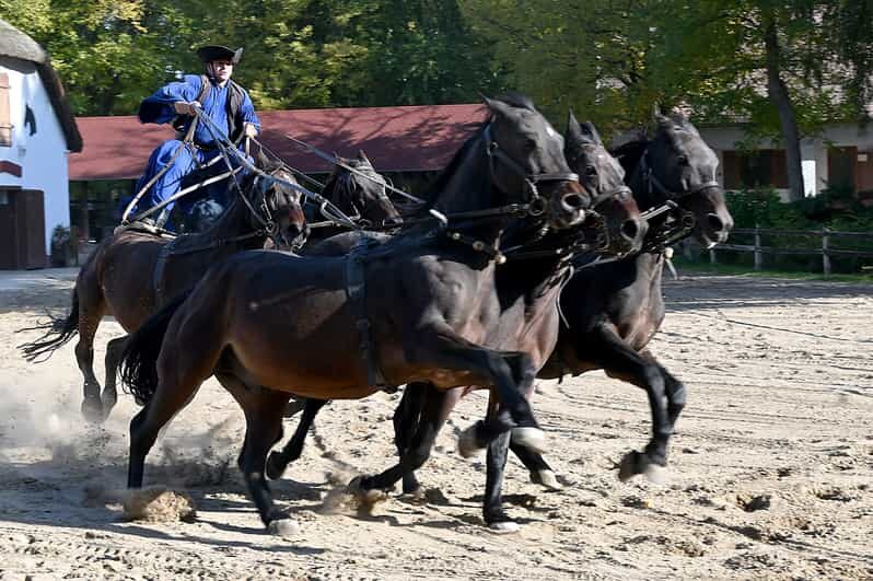 Countryside ranch, horse show & lunch - In-Depth Look at the Itinerary