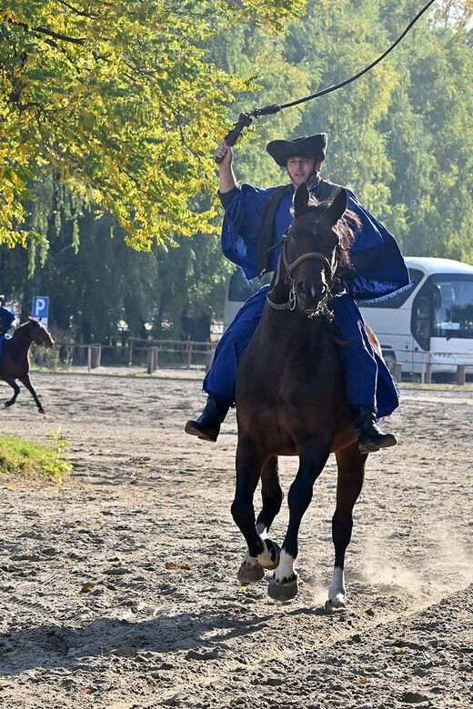 Countryside ranch, horse show & lunch - Pricing & Value Analysis