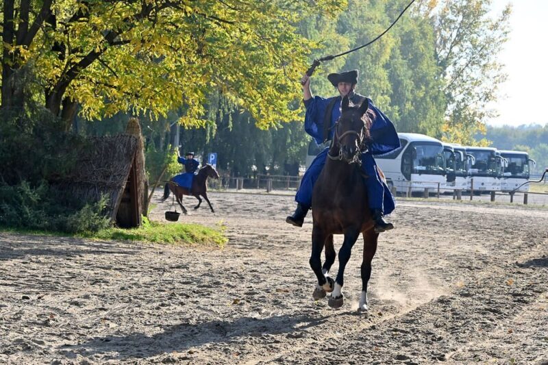 Countryside ranch, horse show & lunch - Who Will Love This Experience?