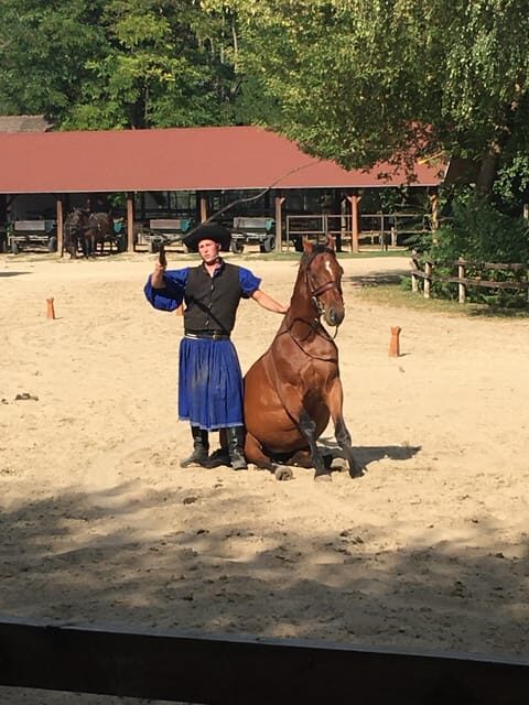 Countryside ranch, horse show & lunch - The Sum Up
