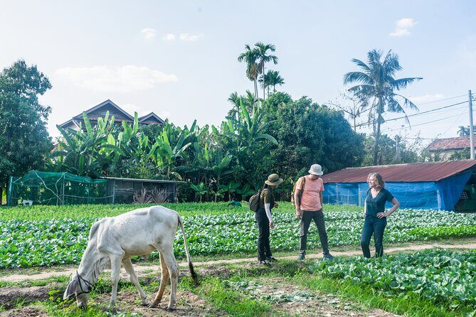Countryside Sunset Jeep Tour with Drinks included - Insights from Travelers’ Reviews