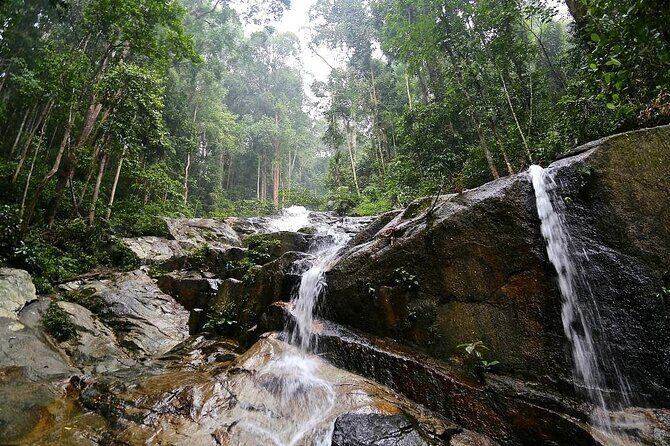 Countryside Tour Waterfall, Hot Springs & Batu Caves With Lunch - Templer Park: A Second Natural Stop