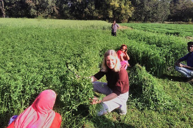 Countryside Village Tour- an authentic village visit - Why This Tour Works Well