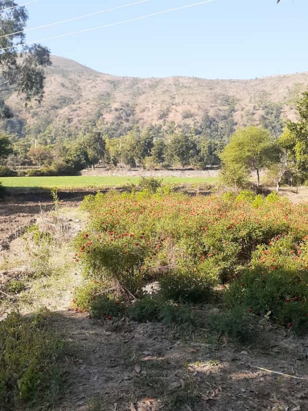 Countryside Village Tour Experience - Final words