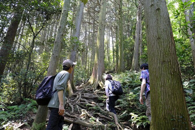 Countryside Walking & Mountain Hiking in Organic Town Near Tokyo - Who Would Love This?