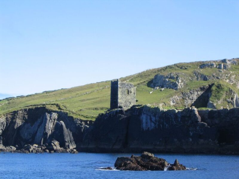 County Cork: Whale & Dolphin Watching Boat Trip - An In-Depth Look at the Experience