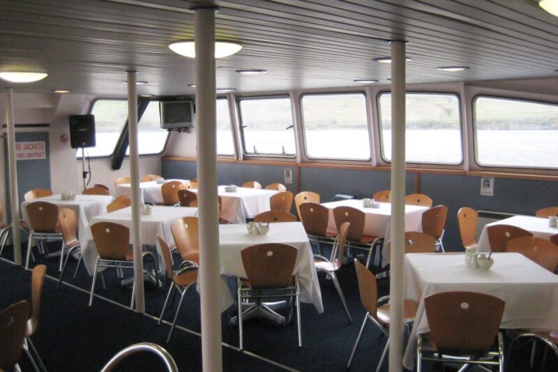 County Galway Killary Fjord 1.5-Hour Sightseeing Cruise - Introduction: Why People Love this Killary Fjord Cruise