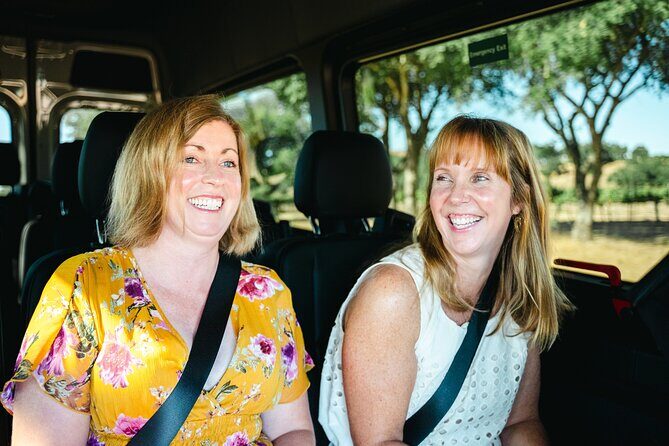 Couples Massage and Wine Tasting Experience at Santa Ynez Winery - Who Should Consider This Experience?