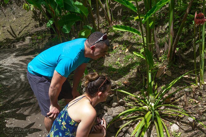 Couples Private St. Lucia Highlights Tour - Final Thoughts