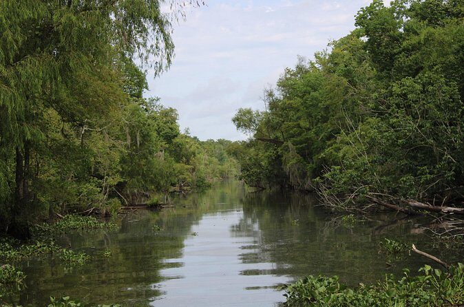 Covered Boat Swamp Tour with Transportation from New Orleans - FAQ