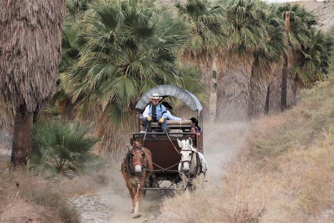 Covered Wagon Adventure & BBQ - The Journey into the Sonoran Desert
