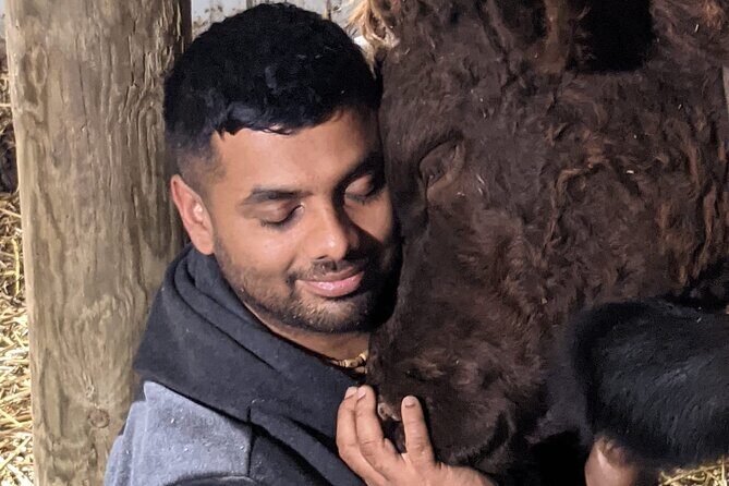 Cow Cuddles Moo Moo Bovine Therapy - The Sum Up: Is Cow Cuddles Moo Moo Bovine Therapy for You?