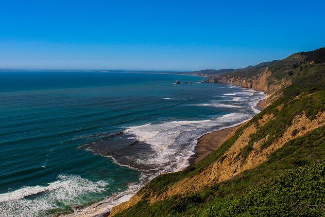 Cow Heaven: A Self-Guided Driving Tour from Point Reyes Seashore to Tomales - The Experience’s Pros and Cons