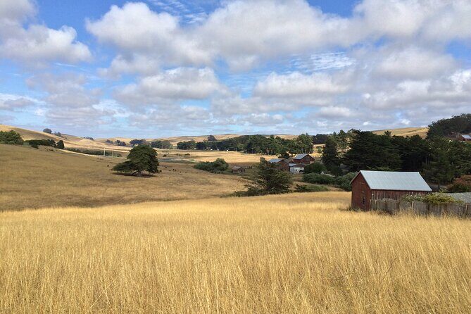 Cow Heaven: A Self-Guided Driving Tour from Point Reyes Seashore to Tomales - Is the Price Worth It?