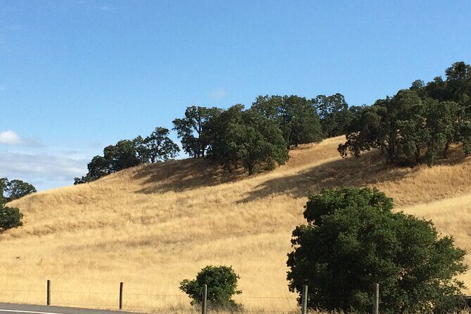 Cow Heaven: A Self-Guided Driving Tour from Point Reyes Seashore to Tomales - Who Will Love This Tour?