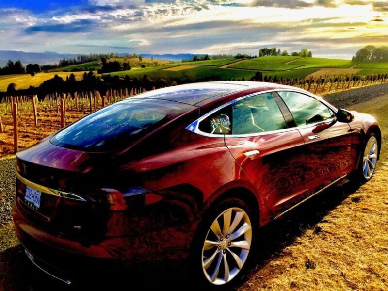 Cowichan Valley Premium Wine Tour - An In-Depth Look at the Cowichan Valley Premium Wine Tour