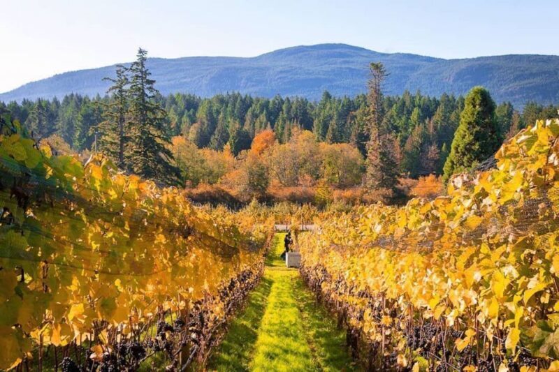 Cowichan Valley Premium Wine Tour - FAQs
